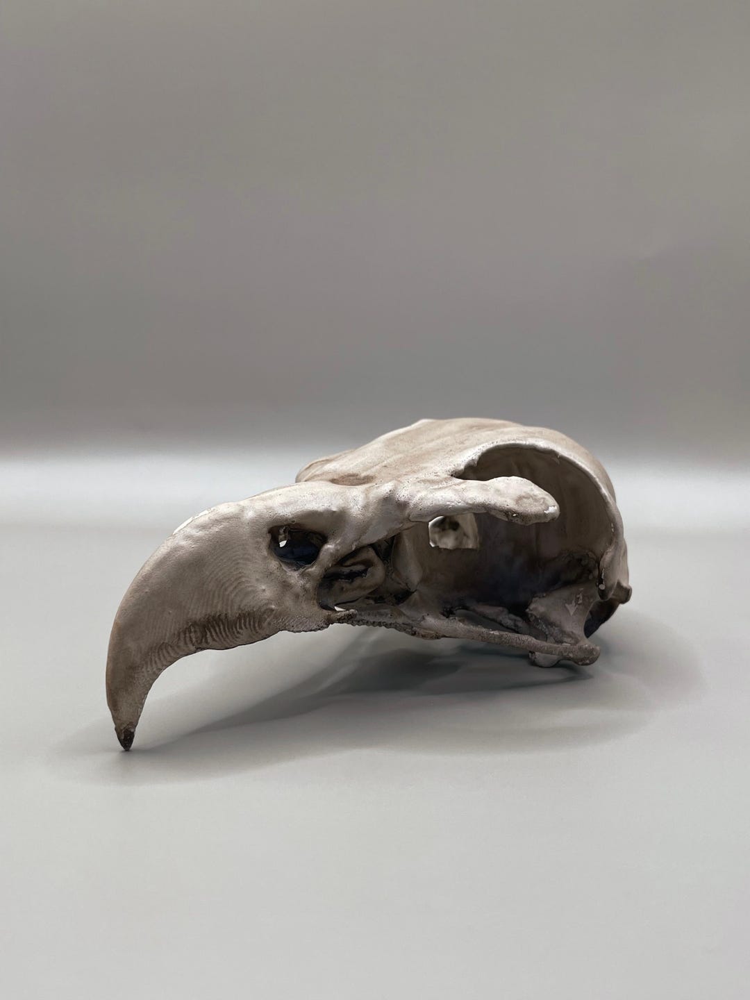Realistic Eagle Skull 3D Replica Gothic Home Decor, Occult and Dark ...