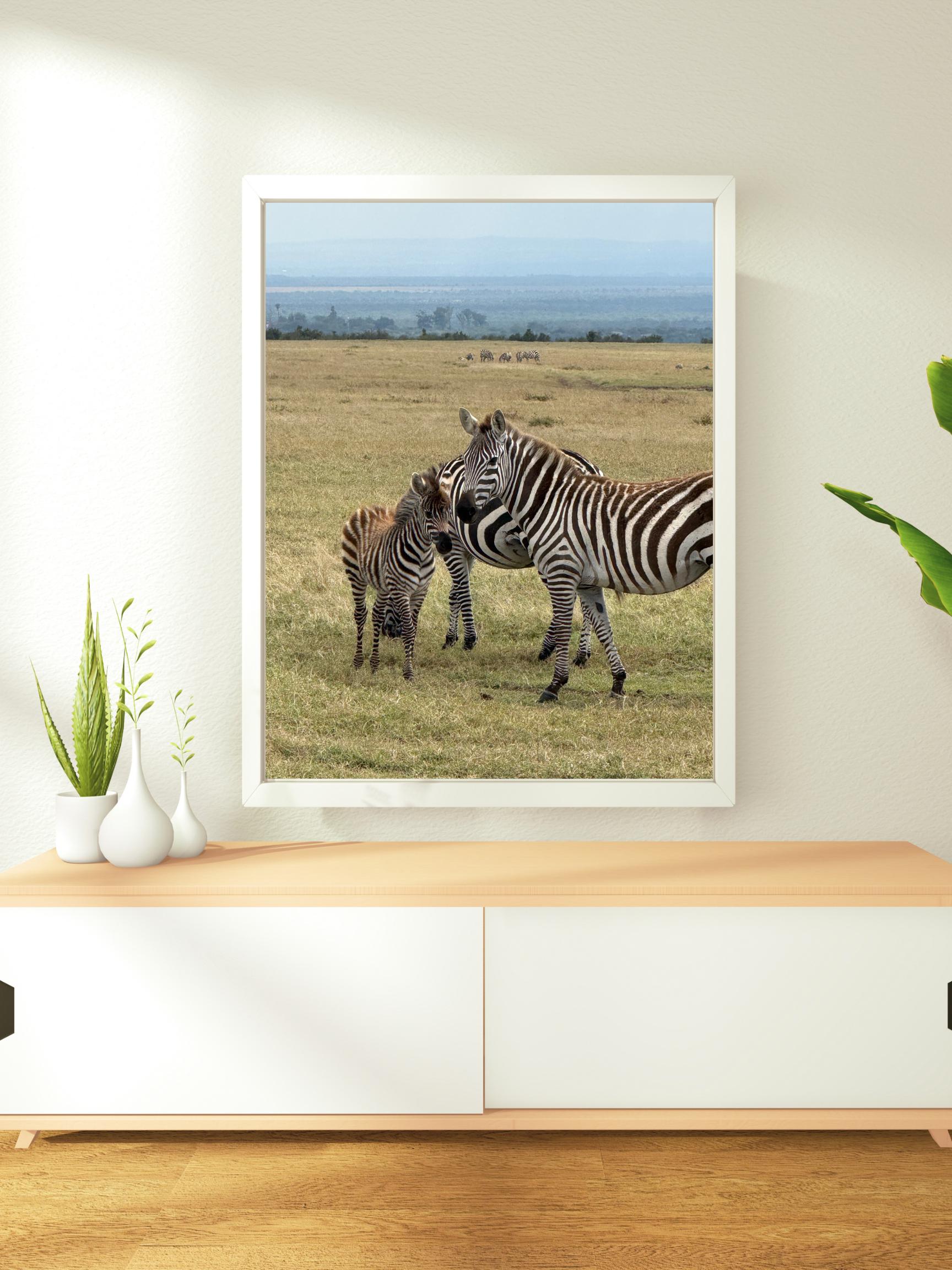Kenya Zebra Safari DIGITAL PRINT for Poster 18 X 24 In. - Etsy