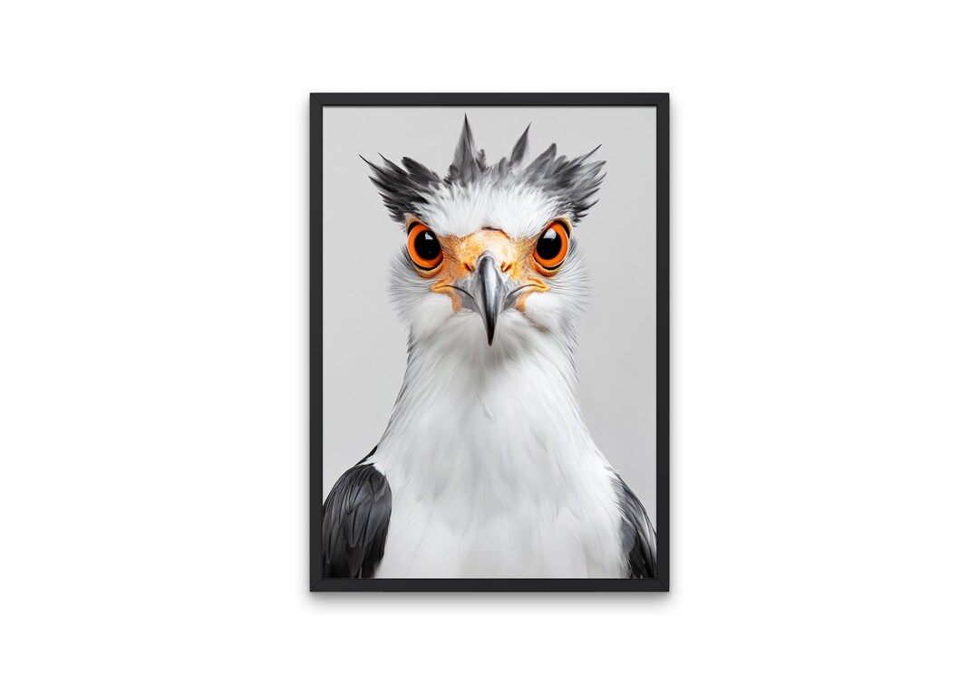 Secretary Bird Portrait, Majestic Raptor Wall Art, Printable Wildlife ...