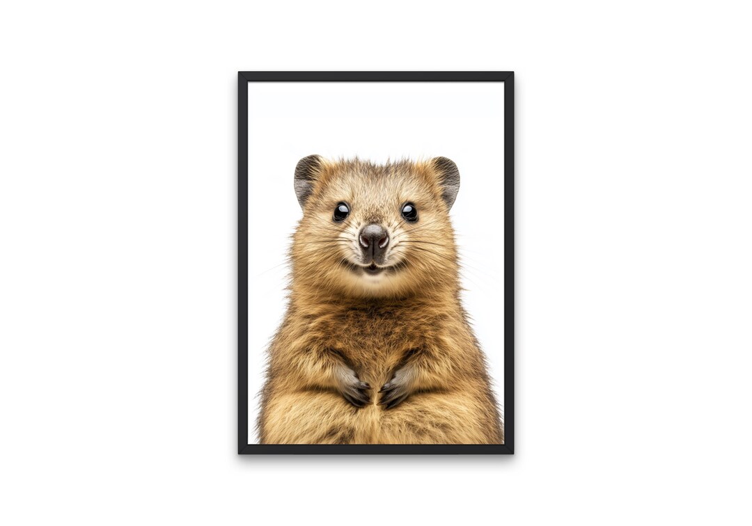 Quokka Portrait, Adorable Wildlife Wall Art, Printable Animal Photo ...