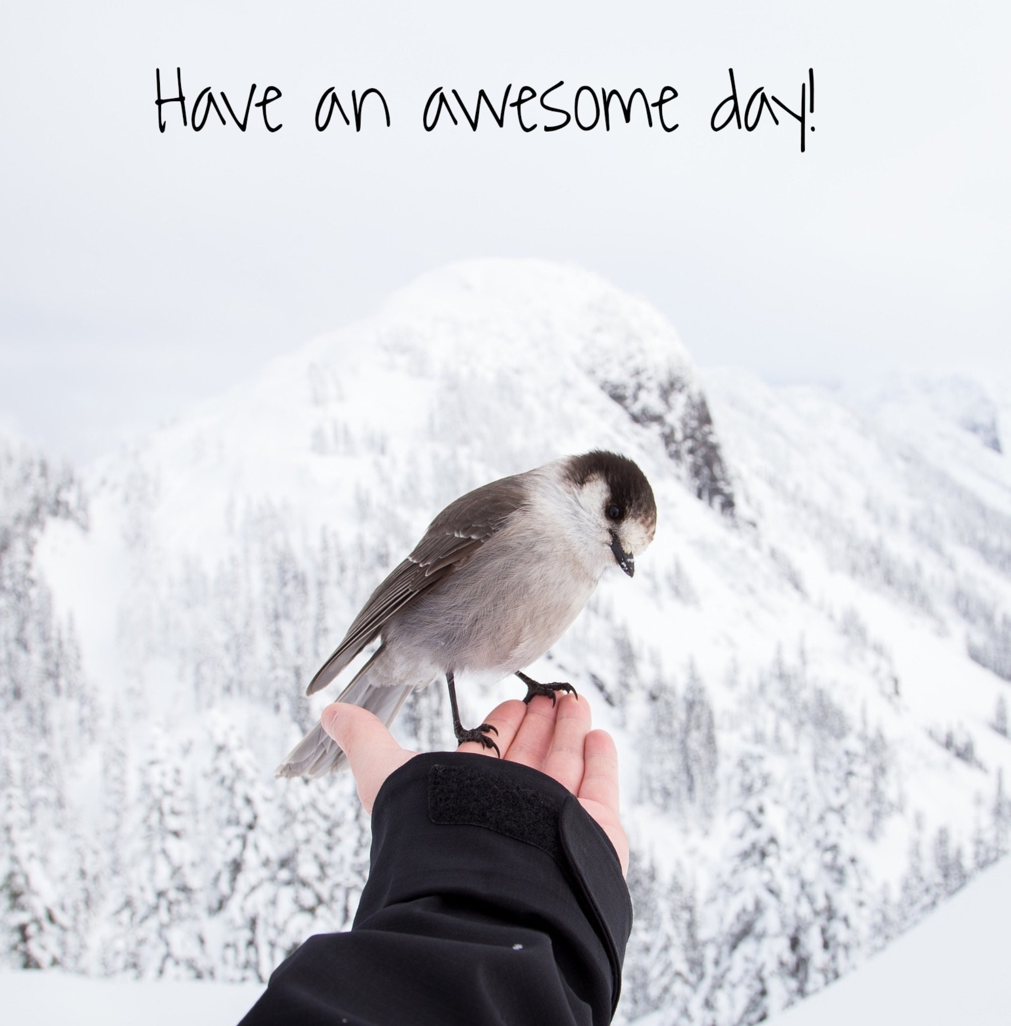 Instant Download Printabledownloadable Printsprintable | Etsy