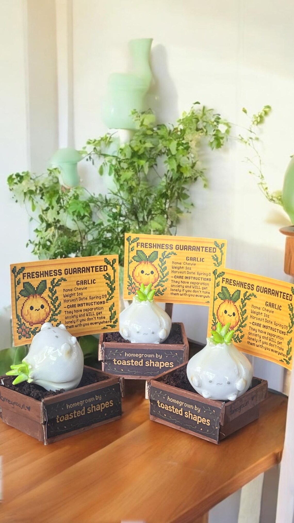 Polymerclay Veggi Garlic Figurine + Keychain + Desk Friend - Etsy