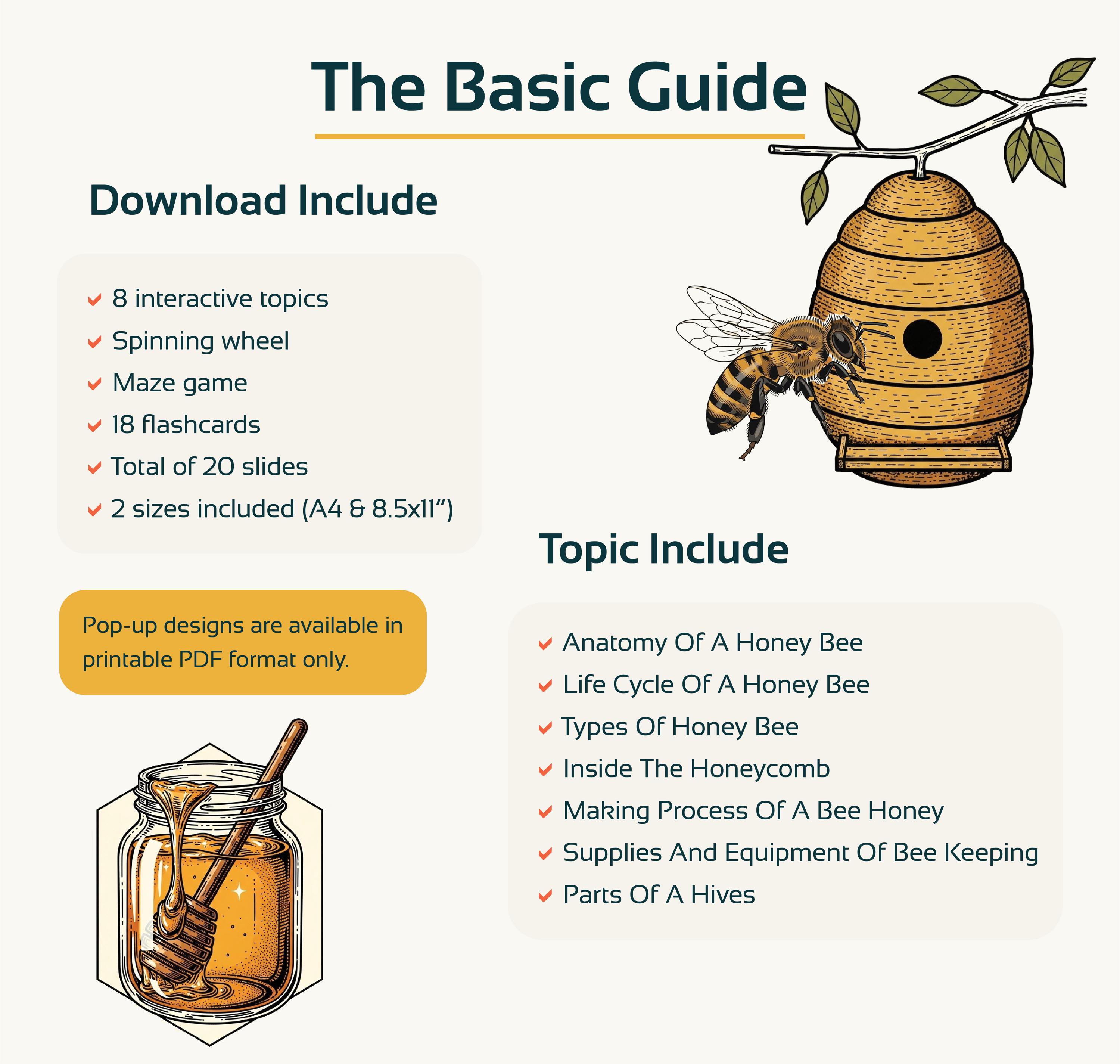 Life Cycle of a Honey Bee Science Unit Study Homeschool Summer ...