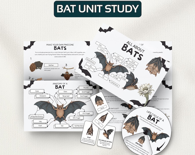 Bats Unit Study: Life Cycle, Anatomy, Homeschool Printable (instant ...