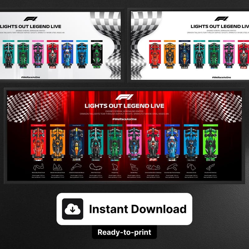 F1 Mini Legos Display - Etsy