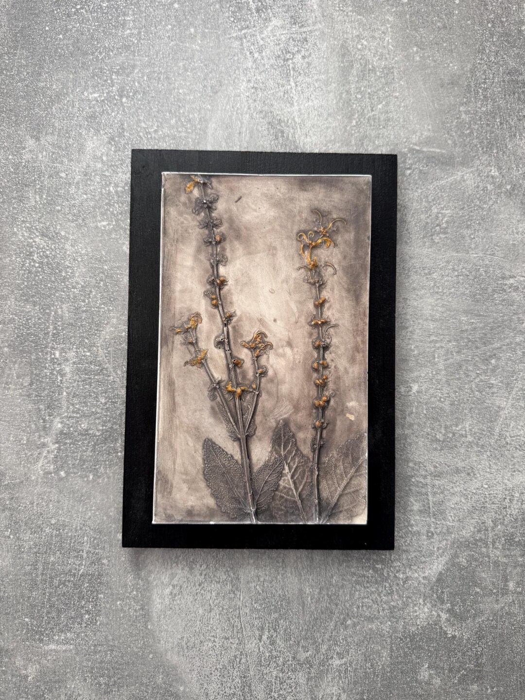 Unique Handmade Botanical Plaster Cast Wall Art Meadow Sage - Etsy