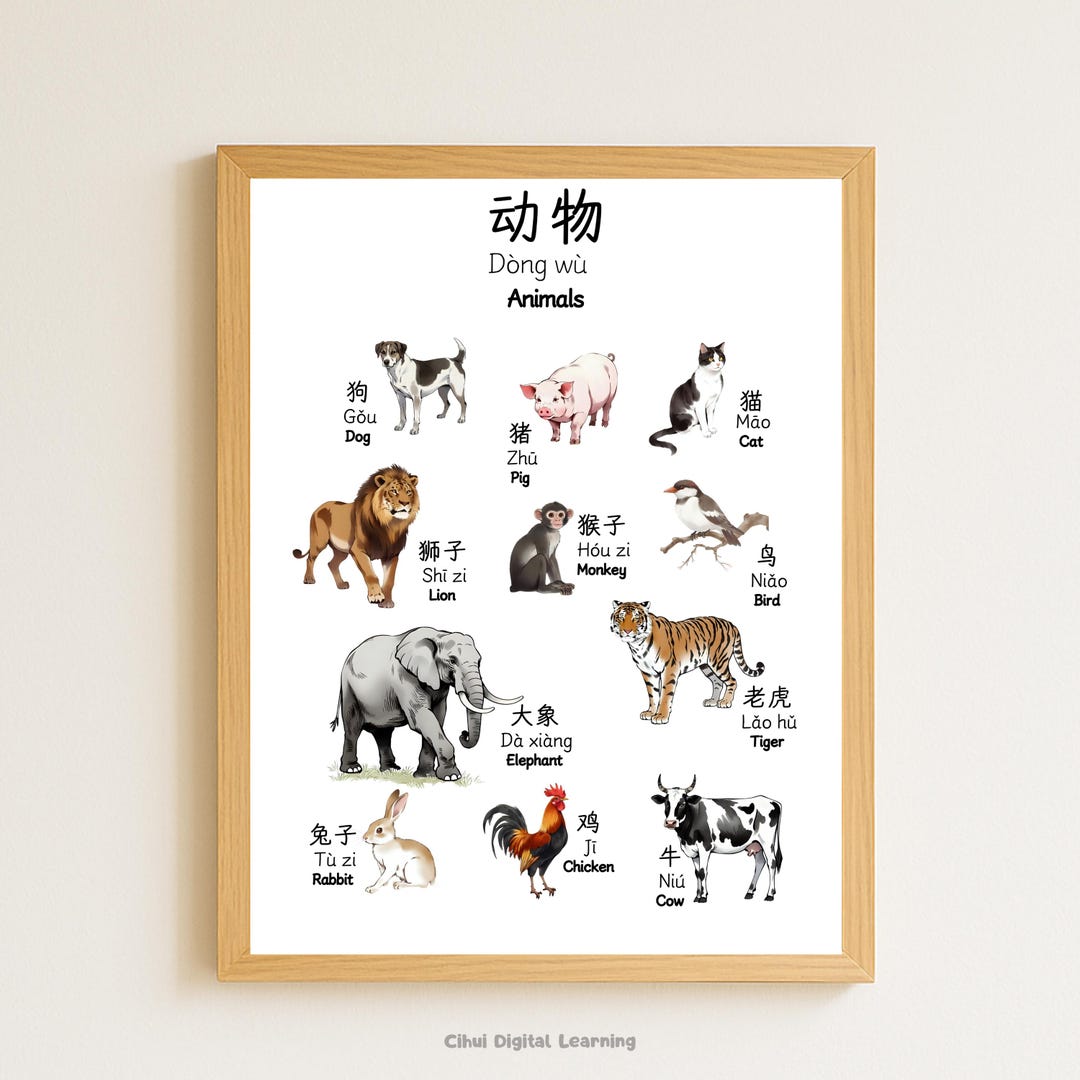 Animal Bilingual Poster: Chinese & English Learning With Pronunciation ...