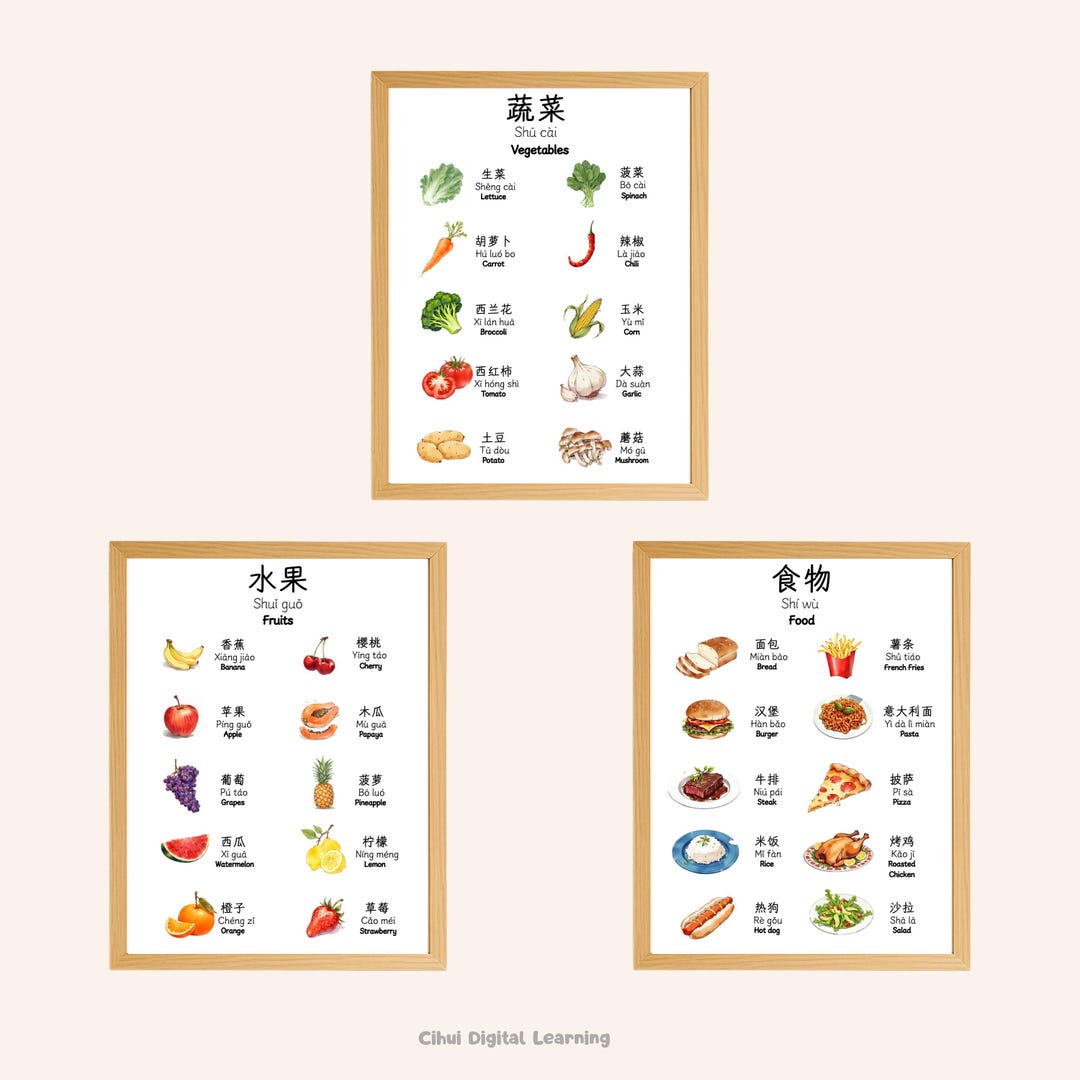SET of 3, Bilingual Educational Poster: Simplified Chinese & English ...