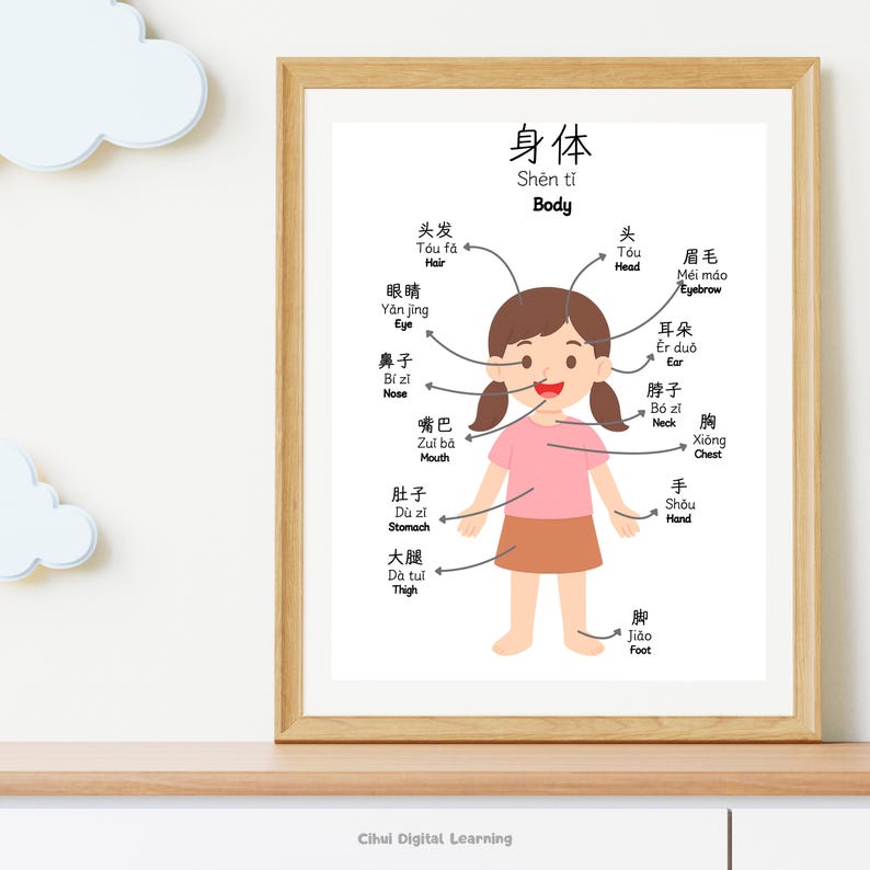 Body Parts Poster Set: Bilingual Simplified Chinese & English Nursery ...