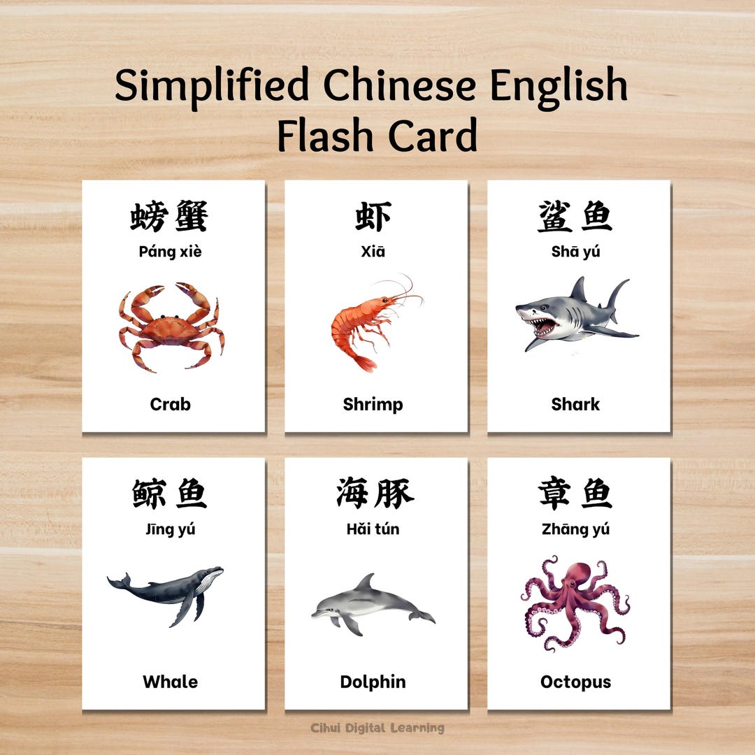 Sea Animal Flash Card : Bilingual Simplified Chinese English Vocabulary ...