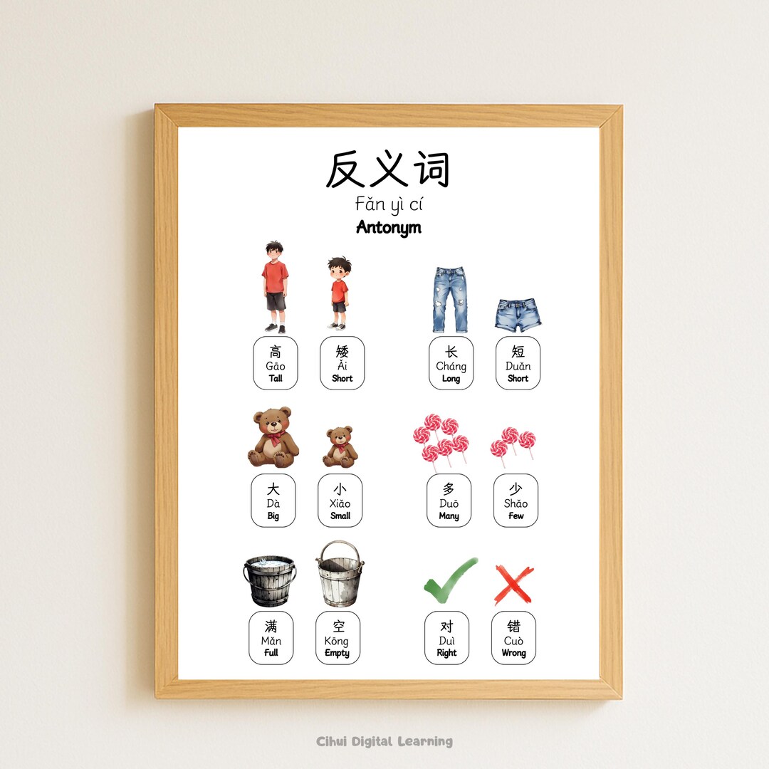 Antonym Bilingual Educational Poster: Simplified Chinese & English ...
