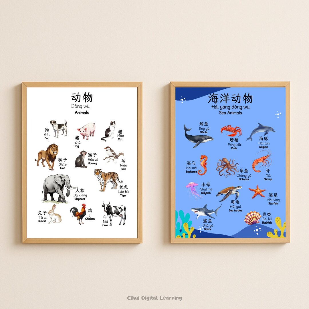 Animal Educational Poster Set : Bilingual Simplified Chinese - English ...