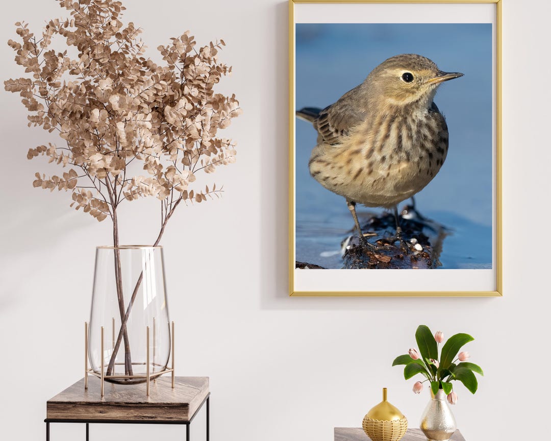 Buff Bellied Puppet Malibu Lagoon Wall Art, Malibu California Poster ...