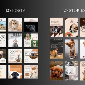 250 Pet Instagram Templates: Dog & Cat Social Media (canva Editable) - Etsy