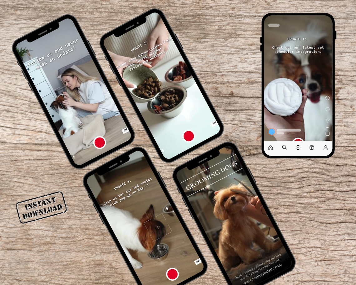 100 Pet Instagram Reels Templates: Dog & Cat Videos (canva) - Etsy