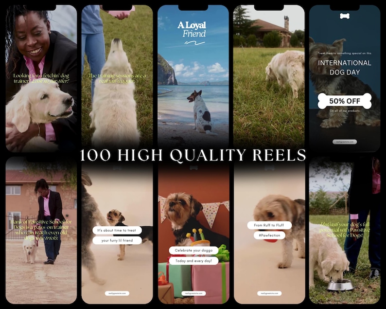 100 Pet Instagram Reels Templates: Dog & Cat Videos (canva) - Etsy
