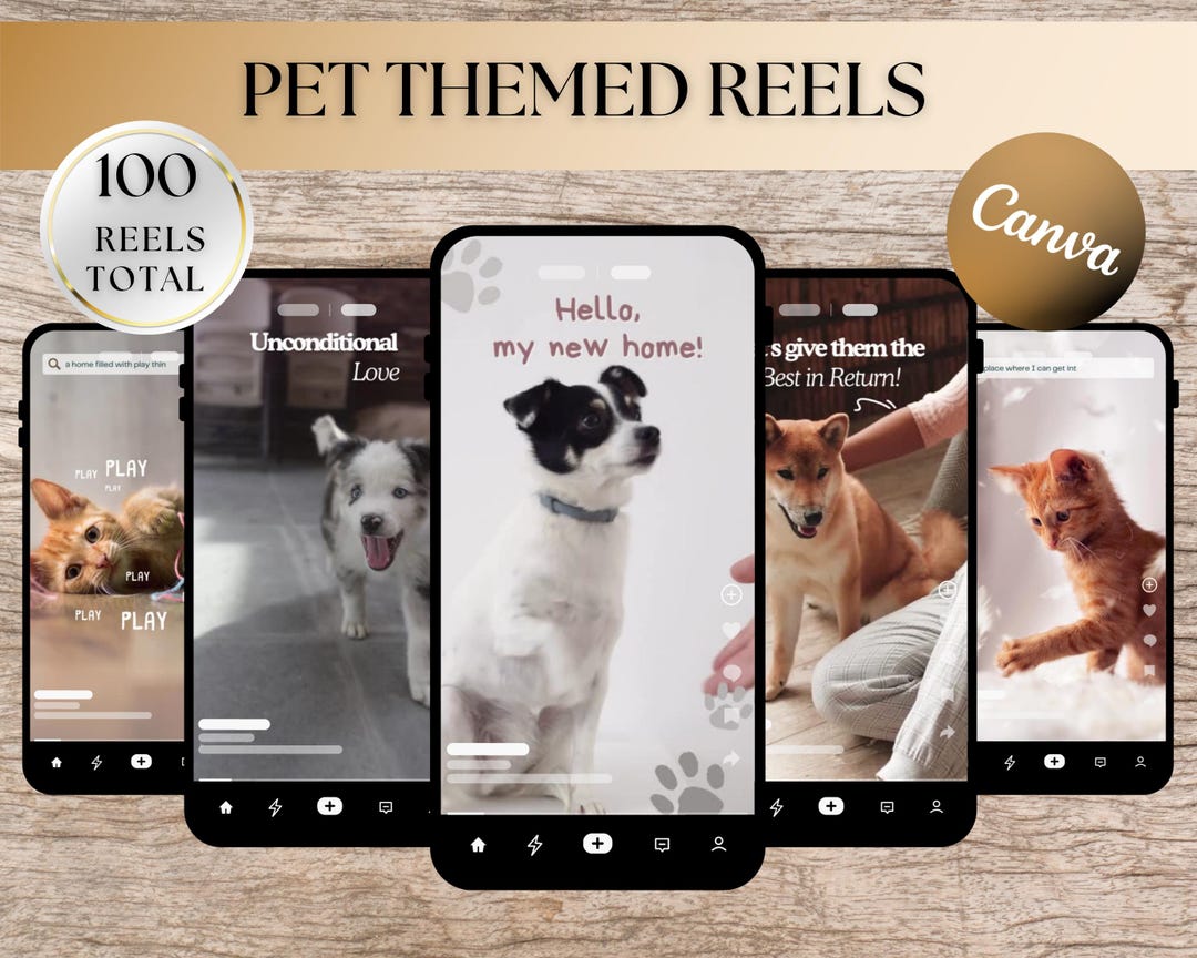 100 Pet Instagram Reels Templates: Dog & Cat Videos (canva) - Etsy
