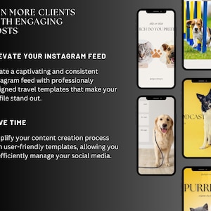250 Pet Instagram Templates: Dog & Cat Social Media (canva Editable) - Etsy