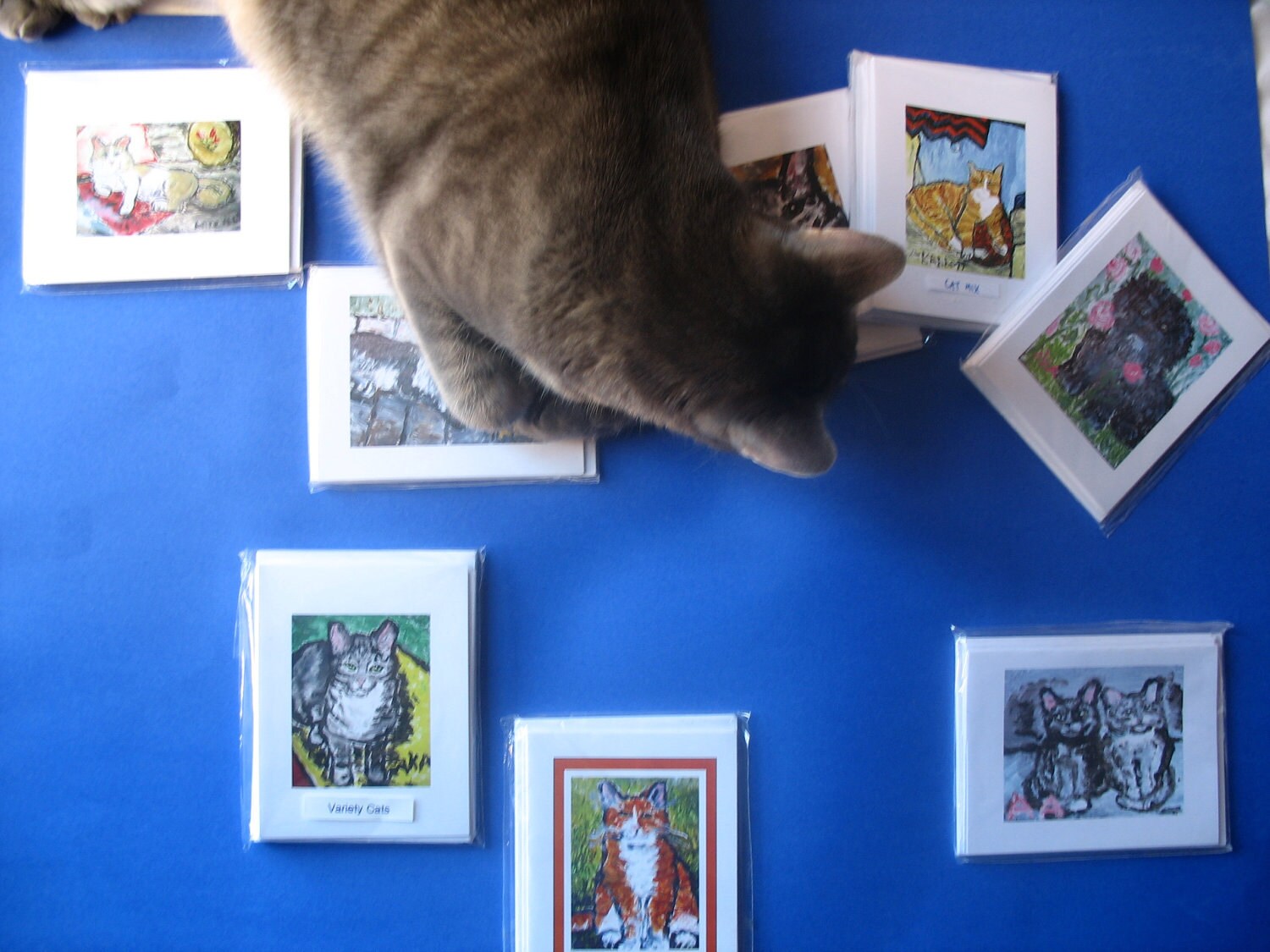 Dandy Card Membership 12 Art Cards Yearly Every Card Comes With a ...