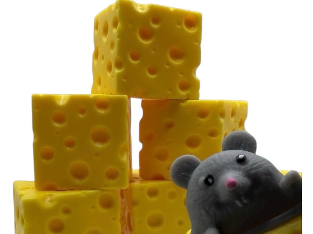 Pop-up Funny Mouse and Cheese Block Squeeze Toy – Stress Relief Fidget ...