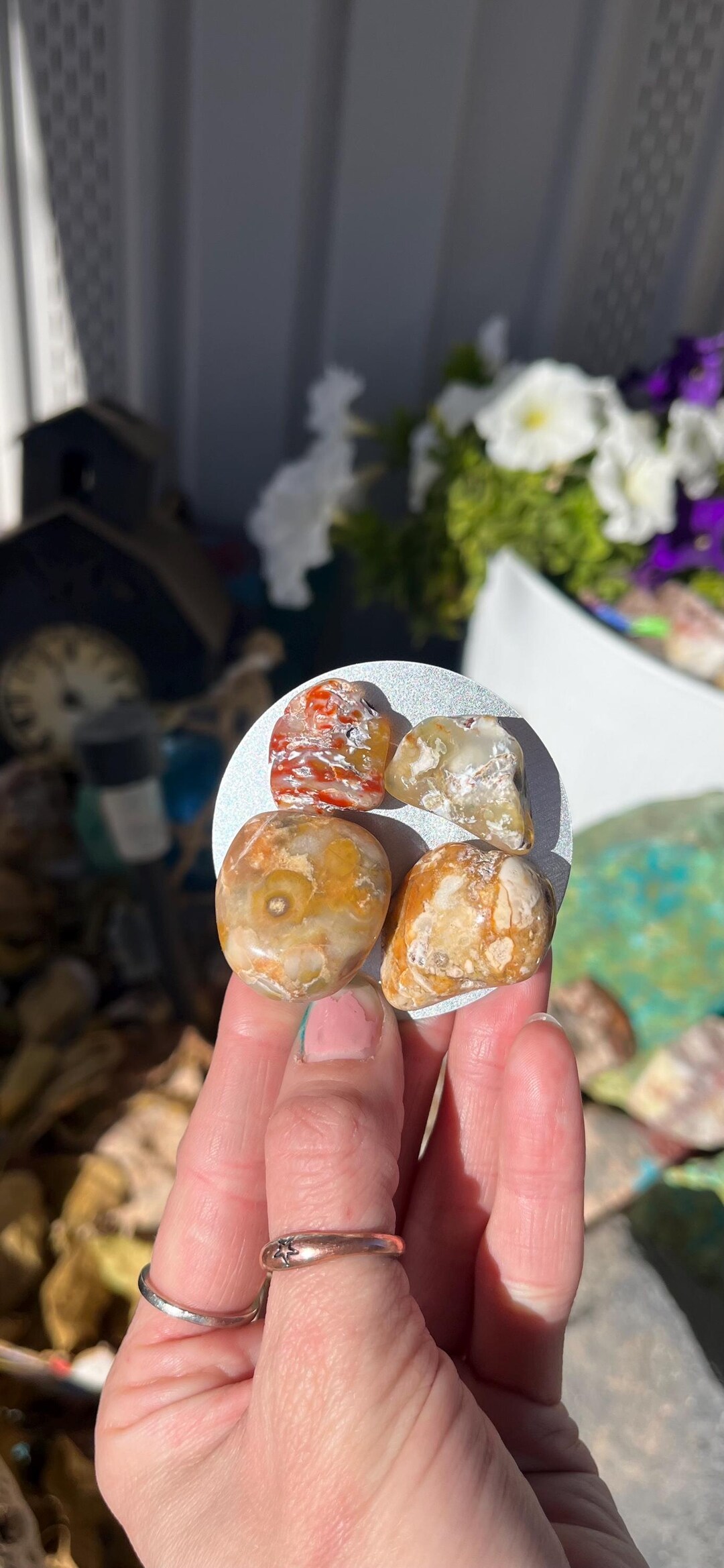 Trypophobia - Rock Magnet Bundle - Etsy