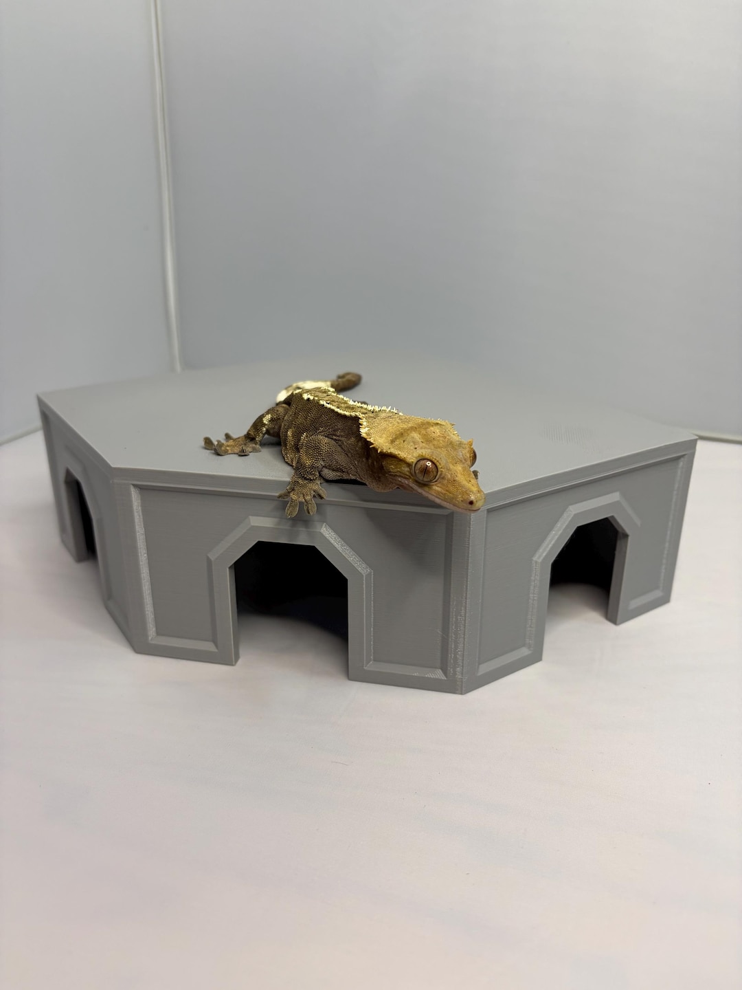 Reptile Terrarium Hide — Corner Hut Cave With Three Openings for Geckos ...