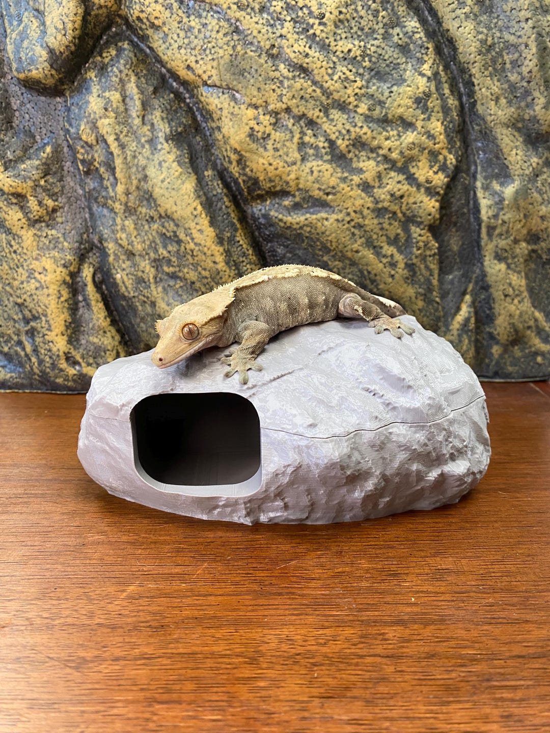 3D Printed Reptile Rock Hide, Naturalistic Cave Decor - Etsy