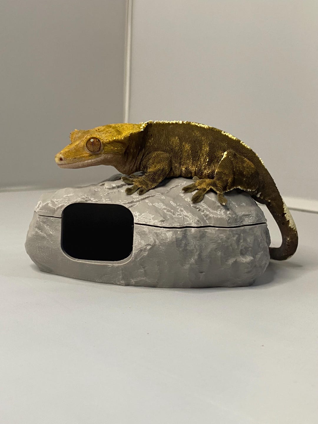 3D Printed Reptile Rock Hide, Naturalistic Cave Decor - Etsy