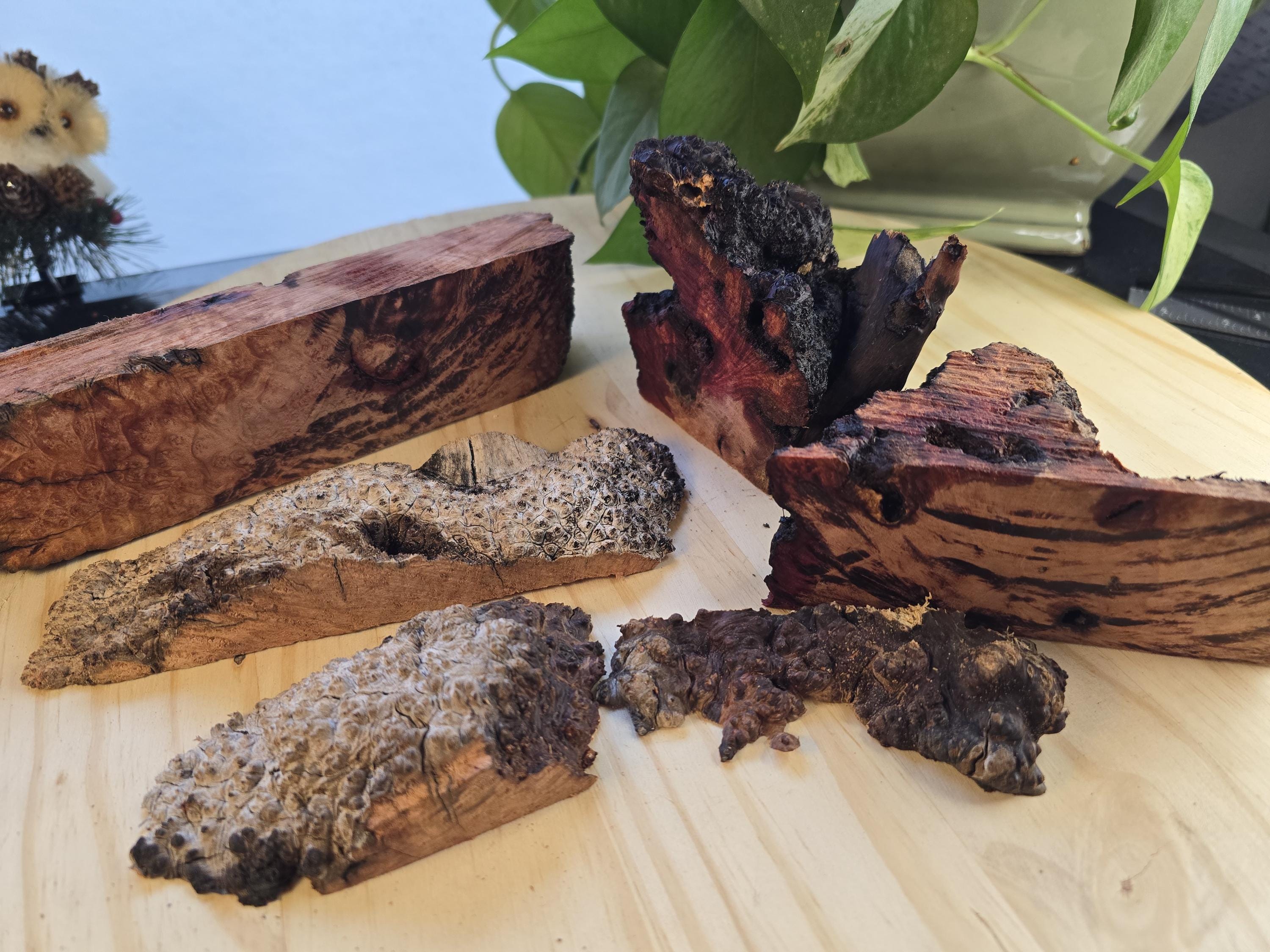 Manzanita Hobby Wood Slabs Wood Burl Slices Whole Fire Kiln Manzanita ...