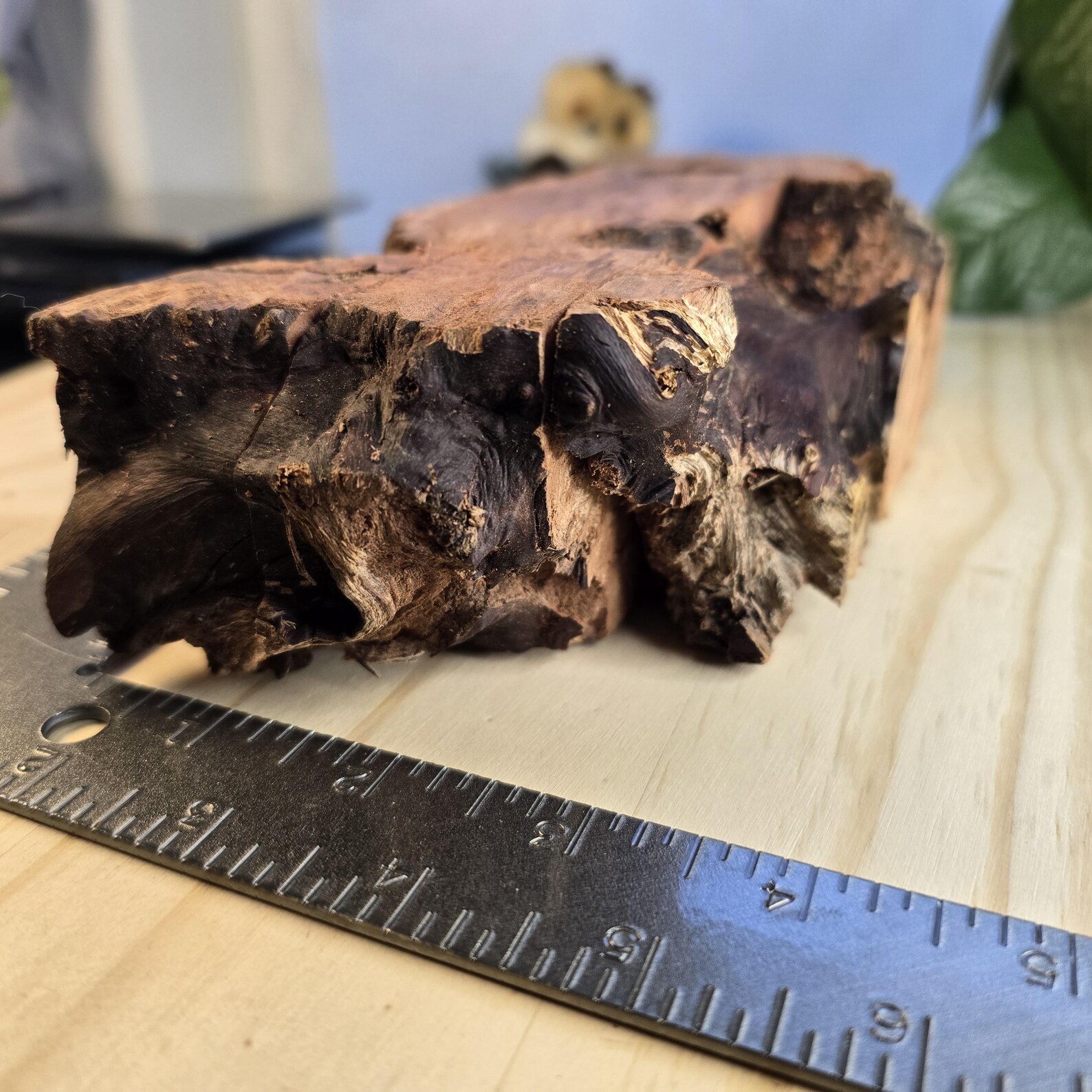 Manzanita Hobby Wood Slabs| Wood Burl Slices | Whole Fire Kiln ...