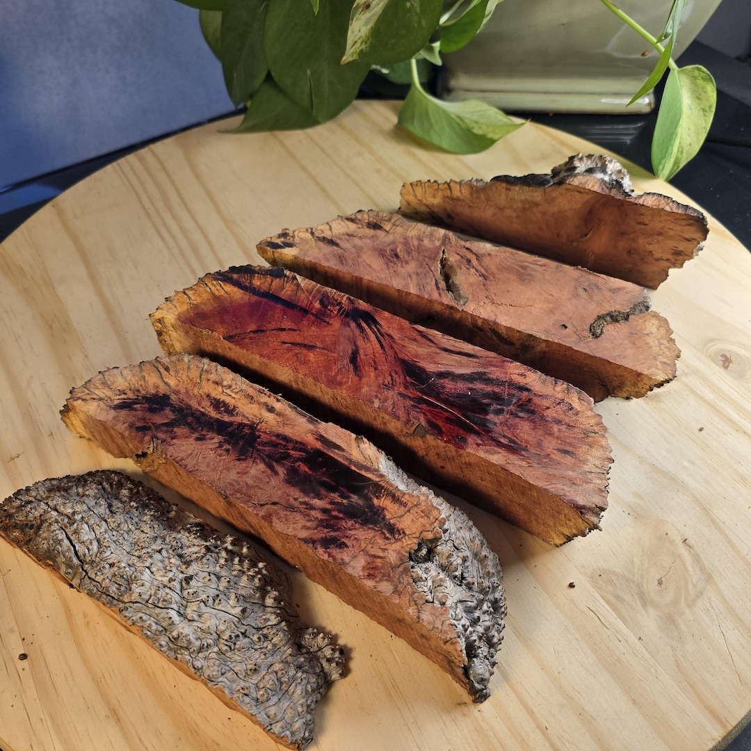 Manzanita Hobby Wood Slabs| Wood Burl Slices | Whole Fire Kiln ...