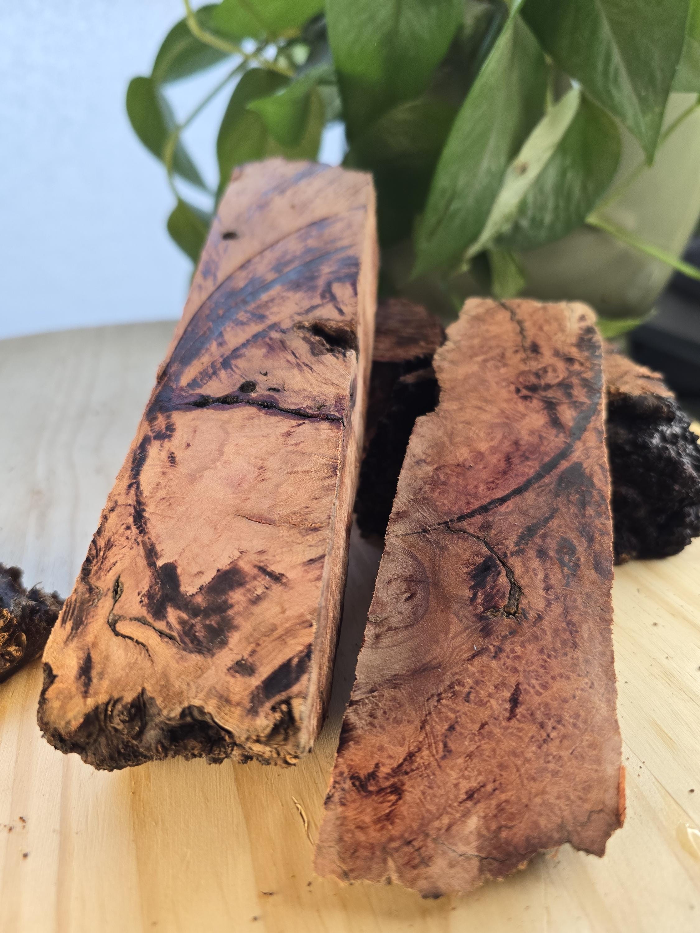 Manzanita Hobby Wood Slabs Wood Burl Slices Whole Fire Kiln Manzanita ...