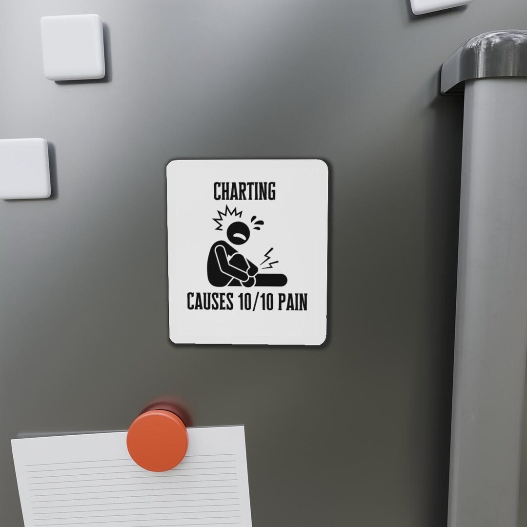 Charting Causes Pain Magnets for Nurses Charting Causes 10/10 Pain Cute ...