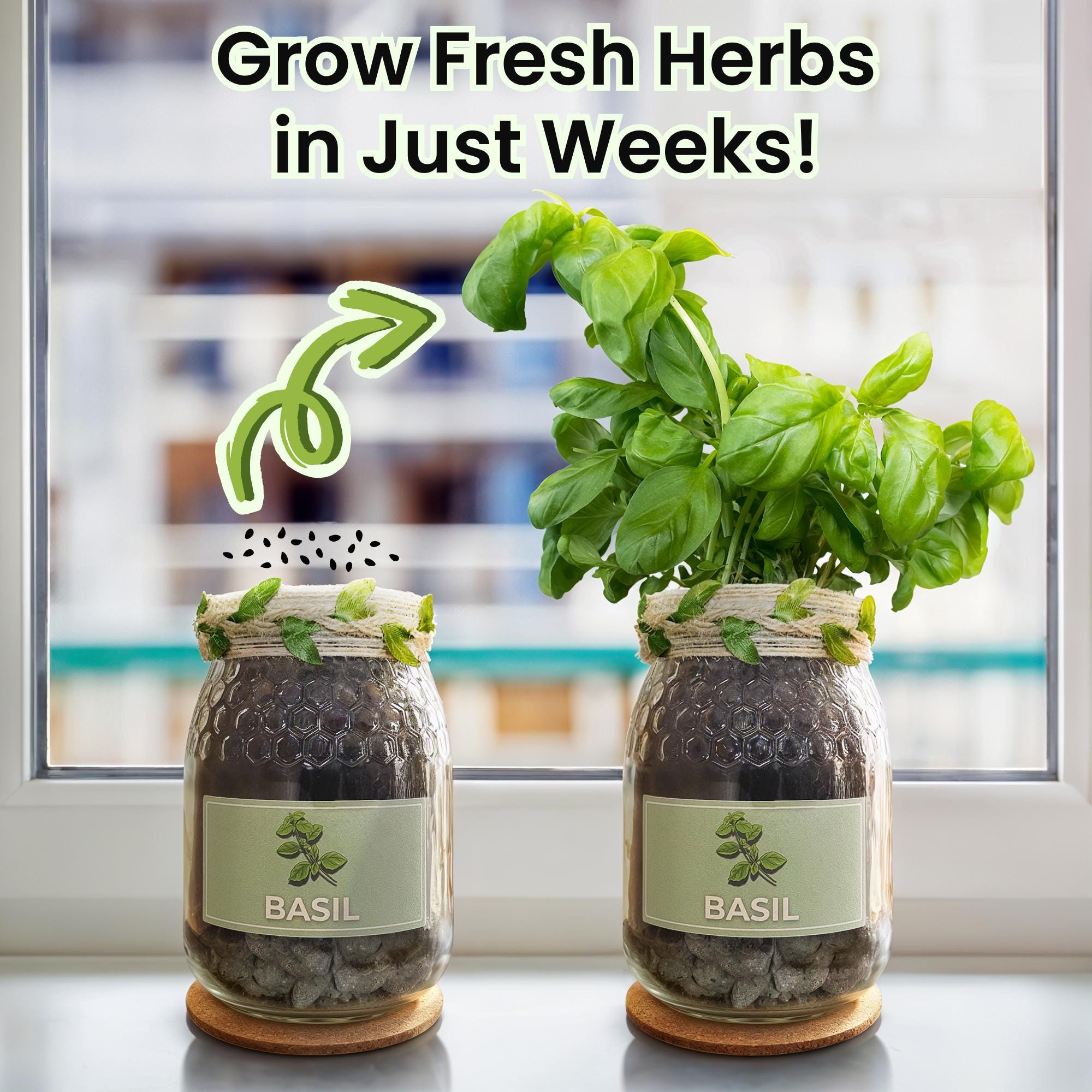 Herb Growing Kit Gift Set | Grow Your Own Herbs Kit for Beginners ...