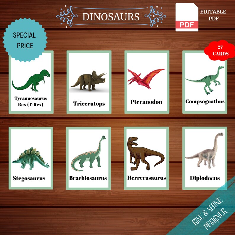 27 Dinosaur Flashcards | Educational and Printable Cards | Dinosaur ...