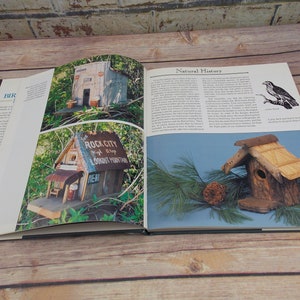 The Bird House Book, How to Build Fanciful Bird Houses and Feeders From ...