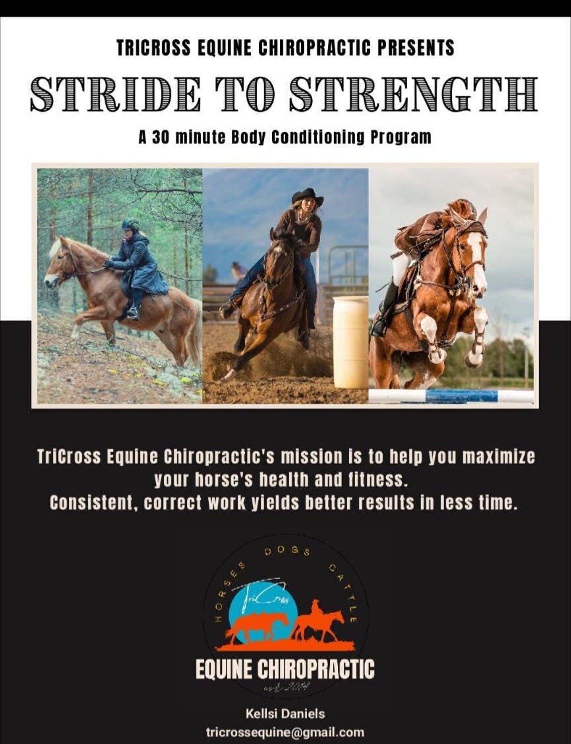 Equine Workout Program & Log (digital and Printable) - Etsy