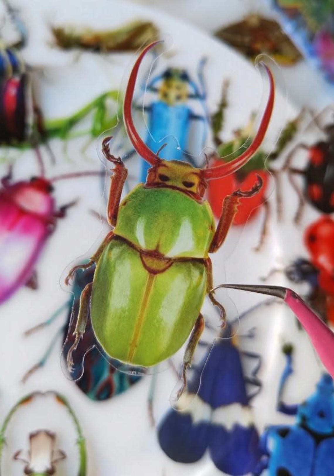 Clear Realistic Insect Stickers Pack, Large 2-4