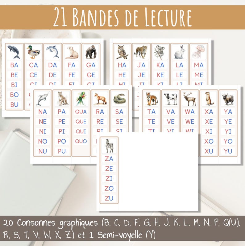 French Consonant Vowels Blending Strips With Animal Illustrations ...
