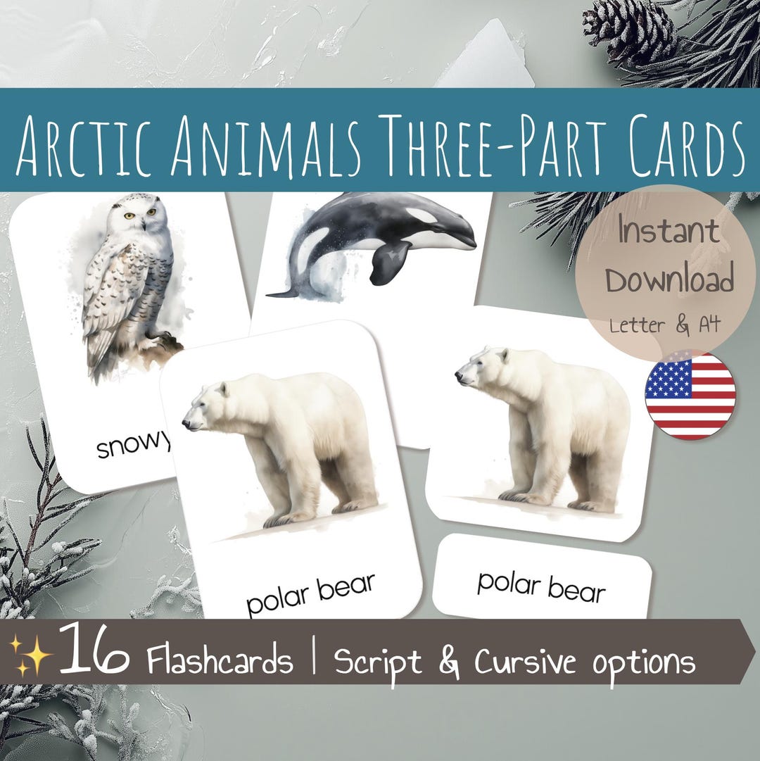 16 Arctic Animals Three-part Cards – Nomenclature Cards – Montessori ...