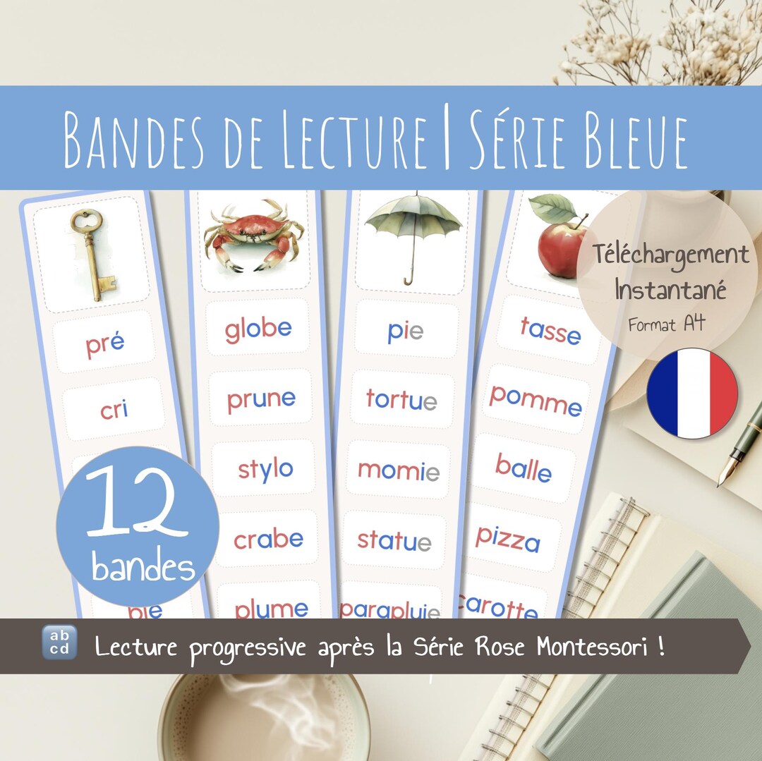 French Montessori Blue Series 12 Progressive Reading Strips | CCV ...