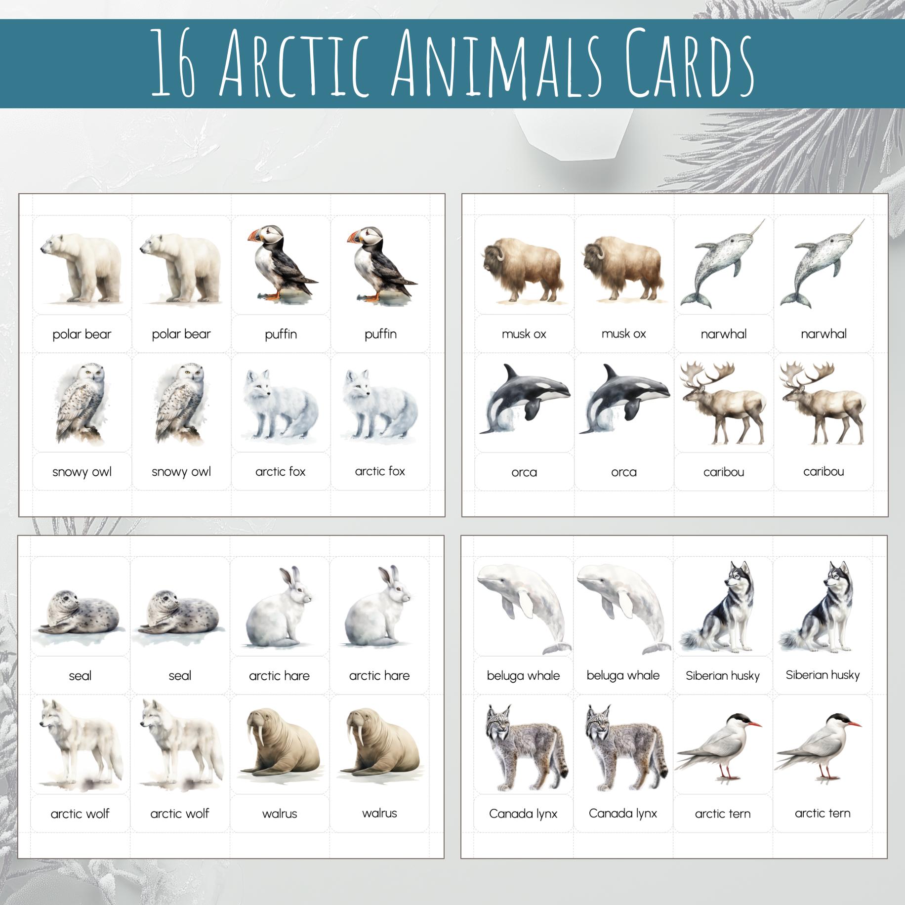 16 Arctic Animals Three-part Cards – Nomenclature Cards – Montessori ...