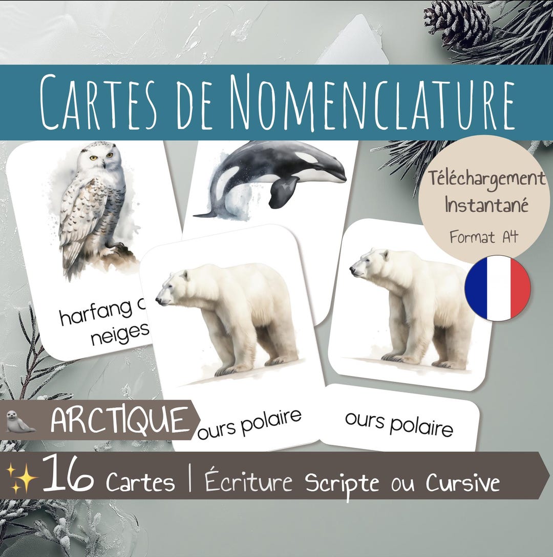 French 16 Arctic Animals Three-part Cards – Nomenclature Cards ...
