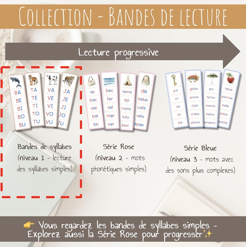 French Consonant Vowels Blending Strips With Animal Illustrations ...