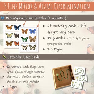 Butterfly Unit Study | 12 Hands-on Montessori Spring Activities PDF ...