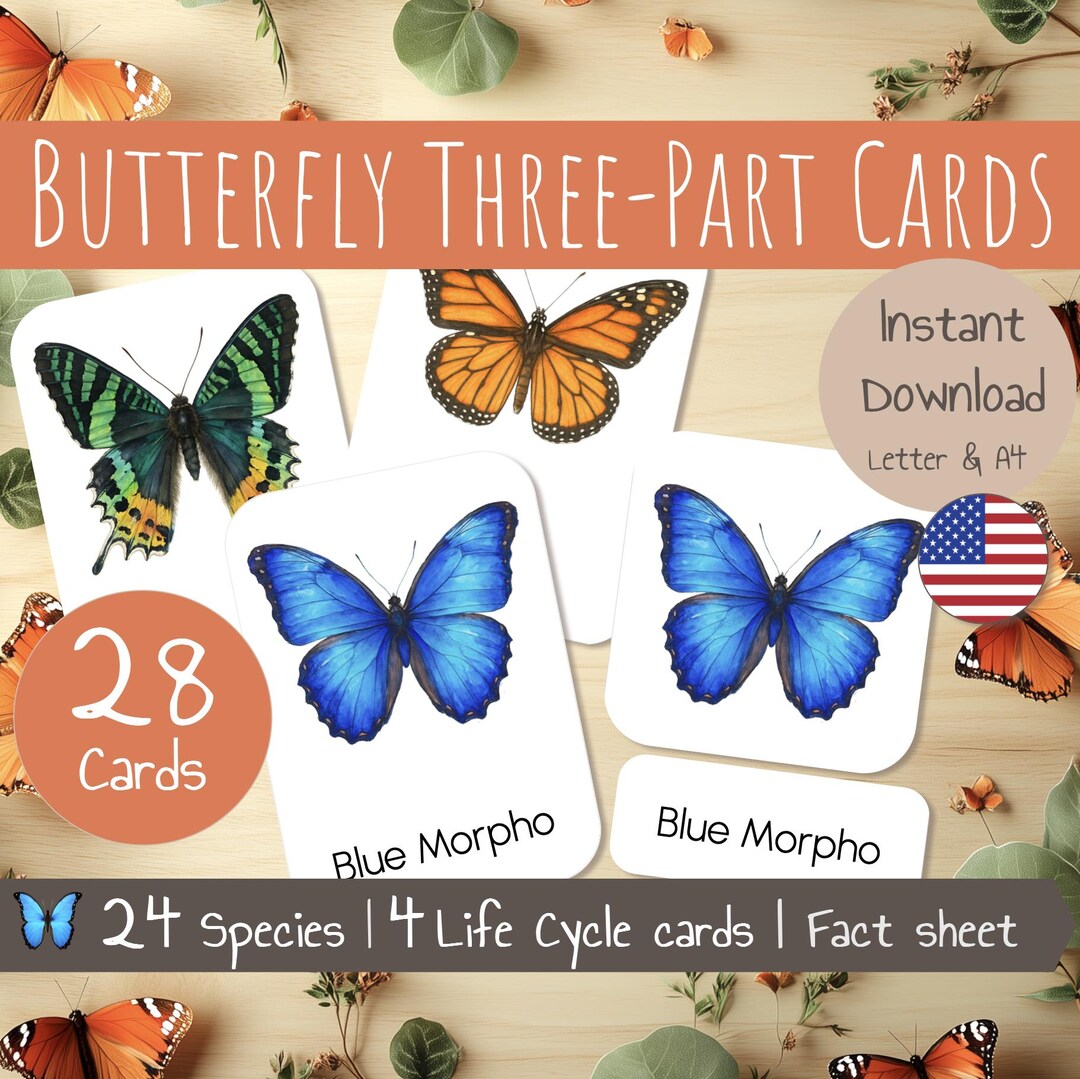 28 Butterfly Montessori Three-part Cards – Nomenclature Cards – Spring ...