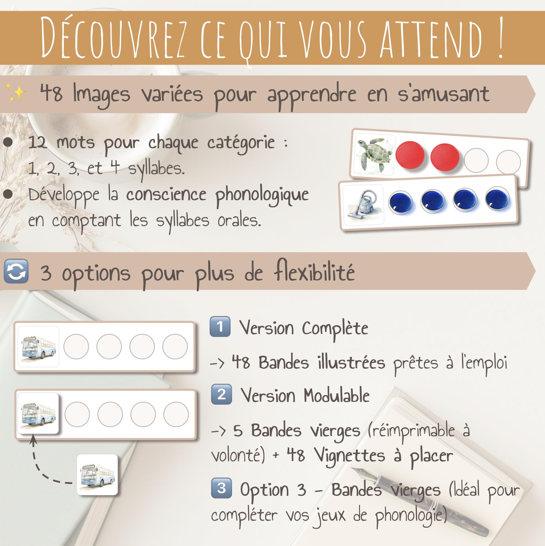 French Syllable Counting Cards | Phonics Cards | Syllable Activity ...