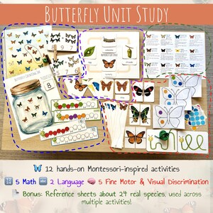 Butterfly Unit Study | 12 Hands-on Montessori Spring Activities PDF ...