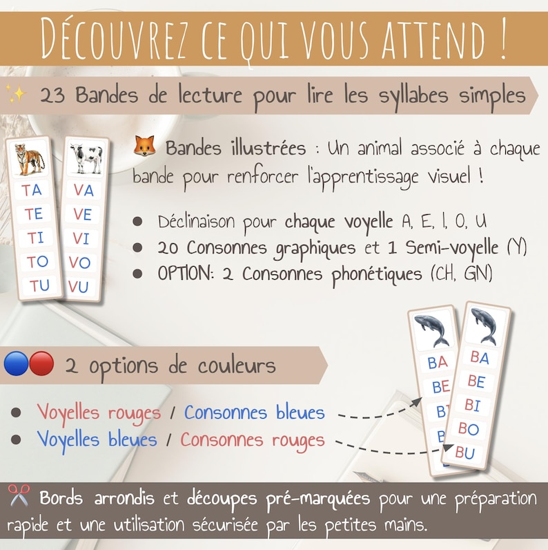 French Consonant Vowels Blending Strips With Animal Illustrations ...