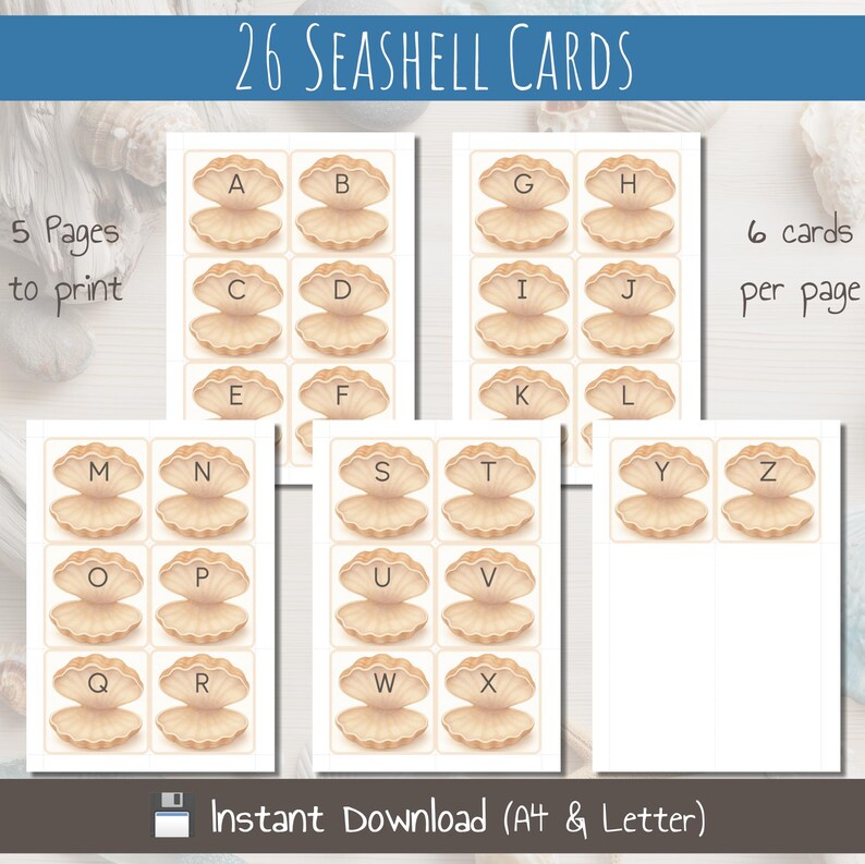 Seashell Alphabet and Initial Sound Match | Alphabet Matching Activity ...
